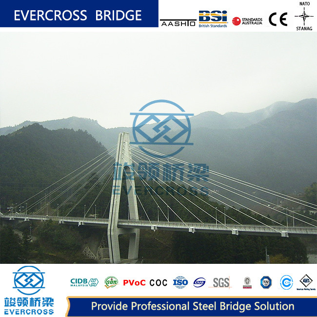 ODM Steel Cable Stayed Bridges Steel Wire Suspension Bridge For Large ...