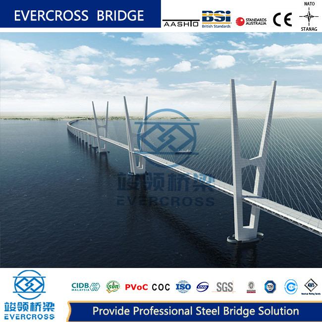 Cable Suspension Structural Steel Bridge Railway Traffic Custom Steel ...