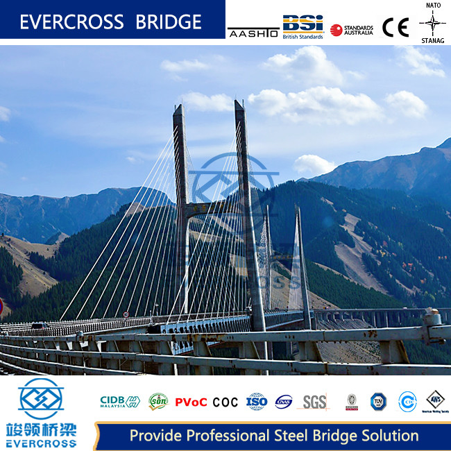 Custom Cable Stayed Bridges Permanent Steel Cable Pedestrian Bridge
