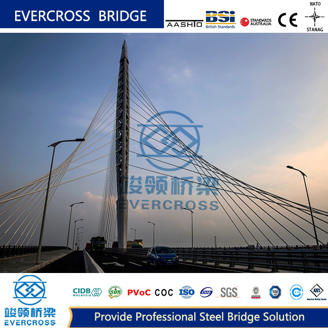 Hot Dip Galvanized Cable Supported Bridge Video