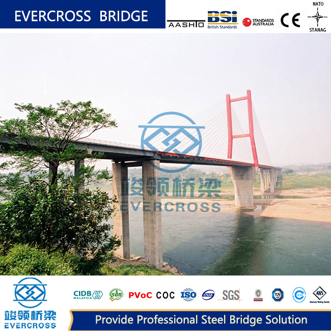 Diagonal Pedestrian Cable Stayed Bridge Large Span Composite Steel Bridge