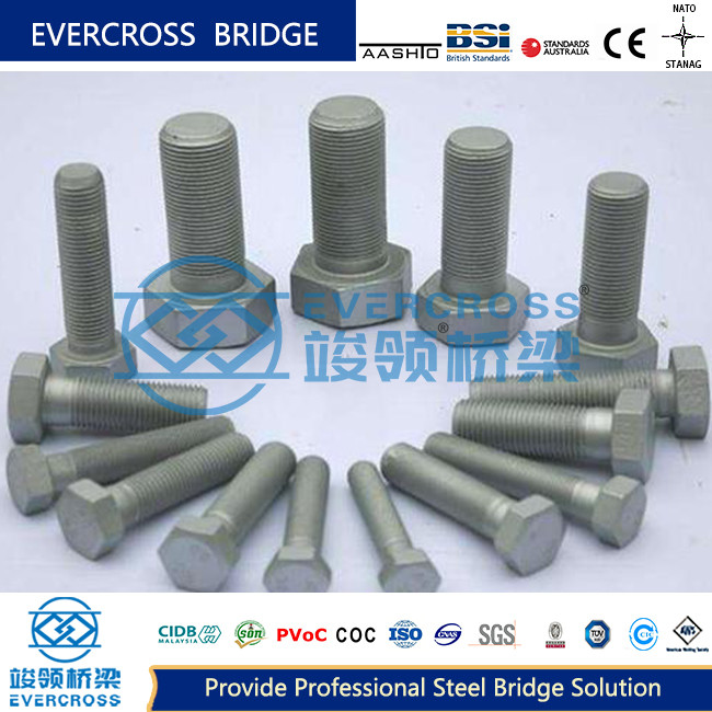 Professional OEM High Strength Structural Bolt With Long Life