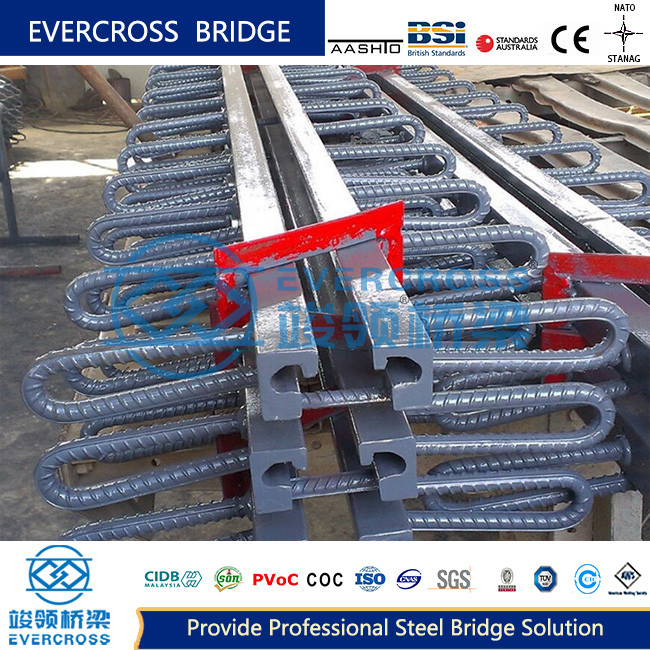 Z Type Bridge Expansion Joints For Building China Supplier