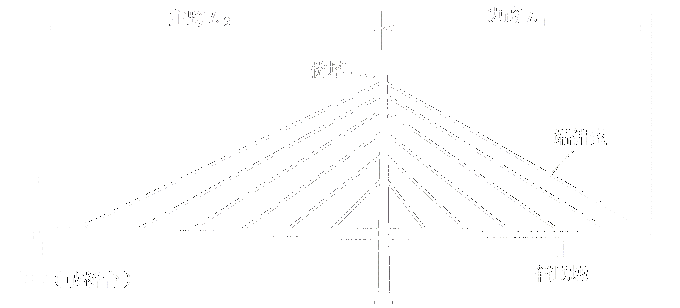 Permanent Cable Stayed Suspension Bridge Custom Steel Truss Bridge