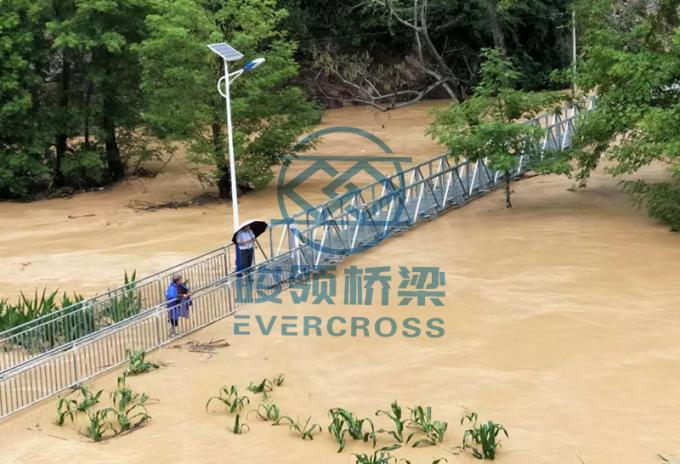 Footwalk Steel Beam Footbridge Steel Modular Fast Installed ODM